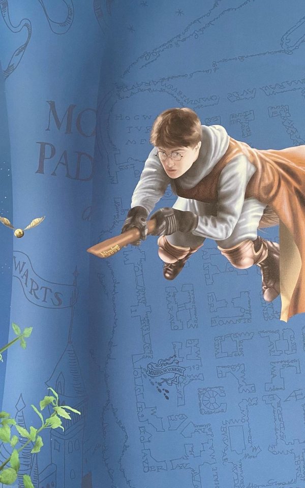 A Wizard's World - Custom Wallpaper Wall Mural