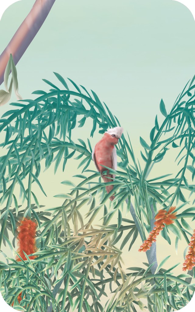 Australian Bush Animals Wallpaper Kids Wall Mural